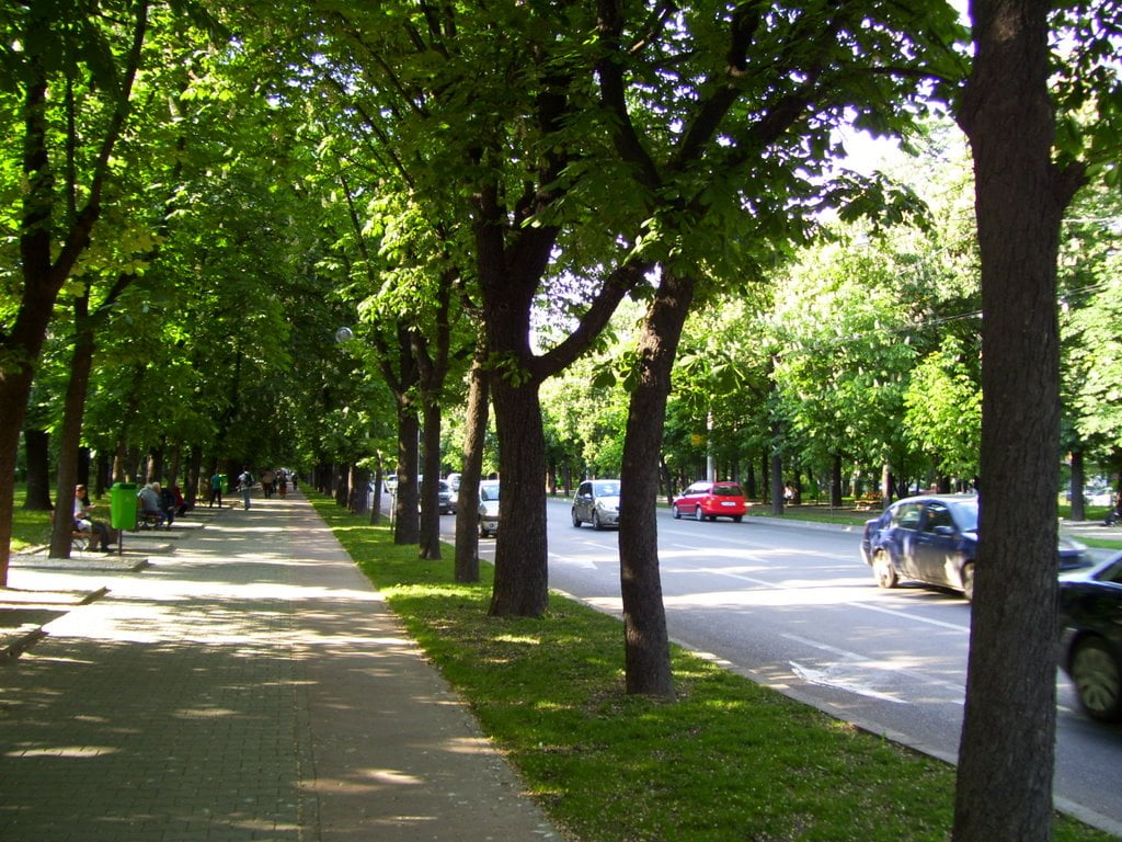 Ploiești: Circulația rutieră închisă pe un tronson din Bulevardul ...