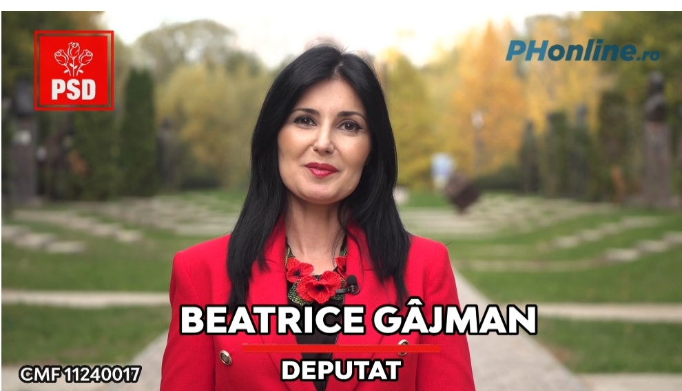 Află cine te reprezintă în Parlament/ Interviu video cu Dr. Beatrice ...