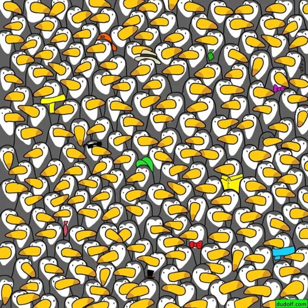 Unde se află singurul pinguin ascuns printre păsările din imagine ...